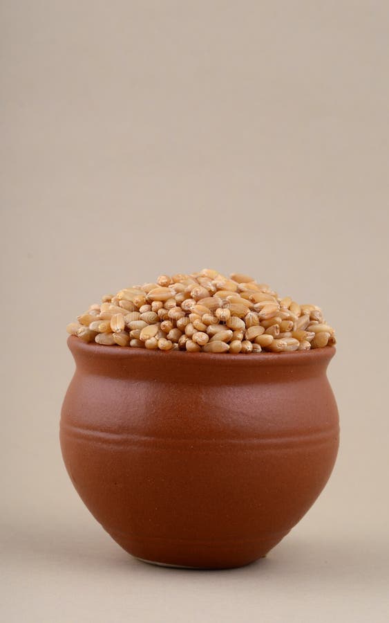 Wheat grains in clay pot stock photo. Image of grain - 106552042