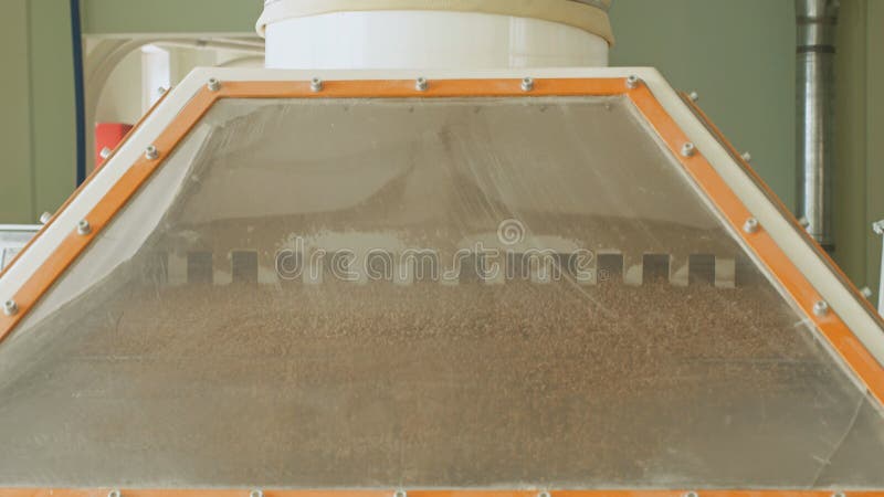 Wheat Grains are Cleaning and Sieving by Vibration, Modern Automated ...