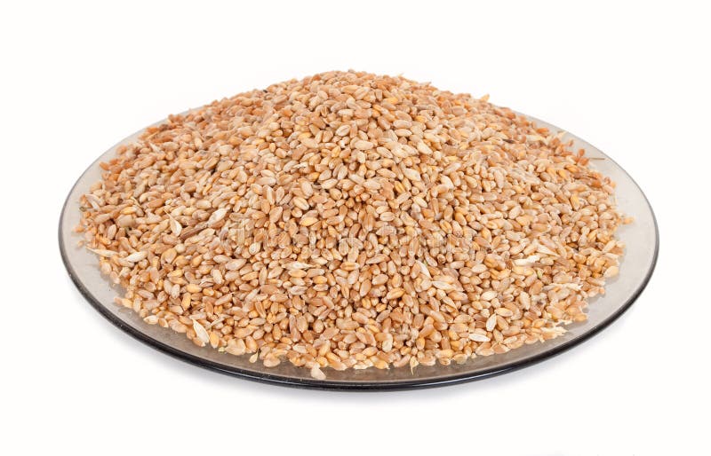 Pile of wheat grains stock photo. Image of health, agriculture - 27061028