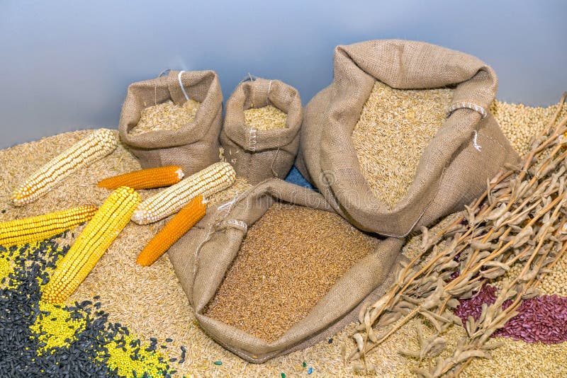 Sacks of Wheat stock image. Image of decorative, farm - 223078051