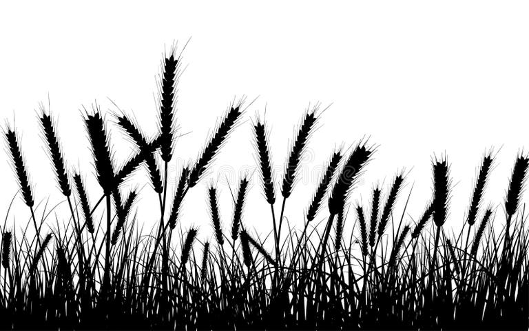Wheat Grass Border Stock Illustrations – 710 Wheat Grass Border Stock ...