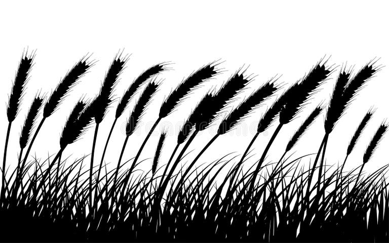 Wheat Grass Border Stock Illustrations – 1,110 Wheat Grass Border Stock ...