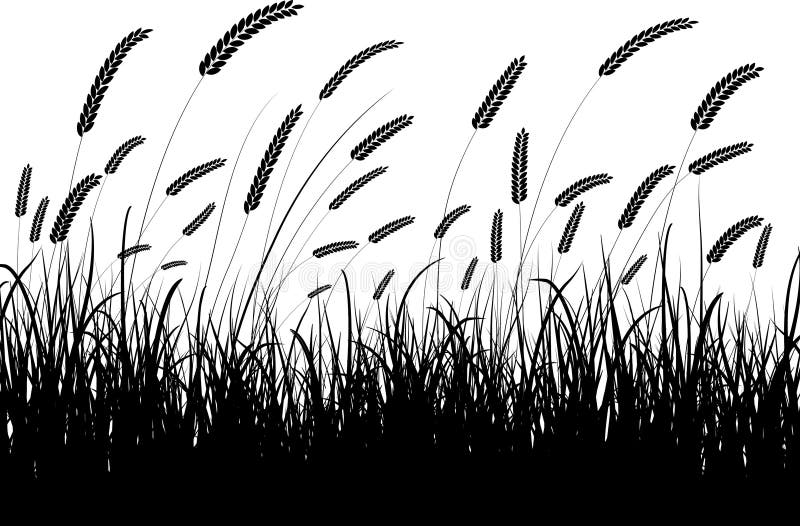 Wheat and grass stock vector. Illustration of countryside - 4137386