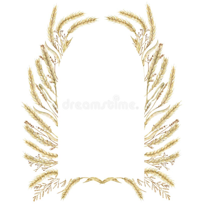 Wheat and Grass Field Border. Frame with Ears of Wheat Stock ...