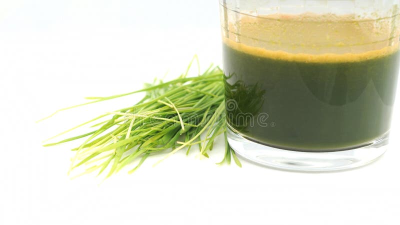 Wheat grass juice stock image. Image of wheat, grass - 29142541