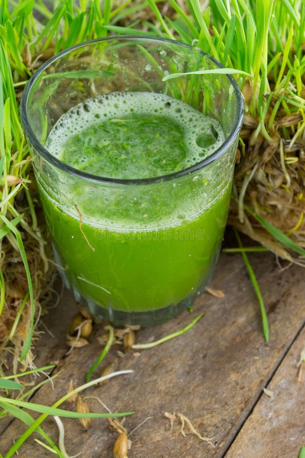 Wheat grass juice stock image. Image of isolated, freshness - 41152713