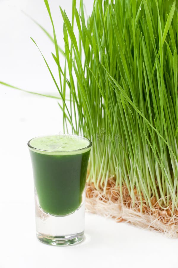 Green Organic Wheat Grass Juice Ready To Drink Stock Photo - Image of ...