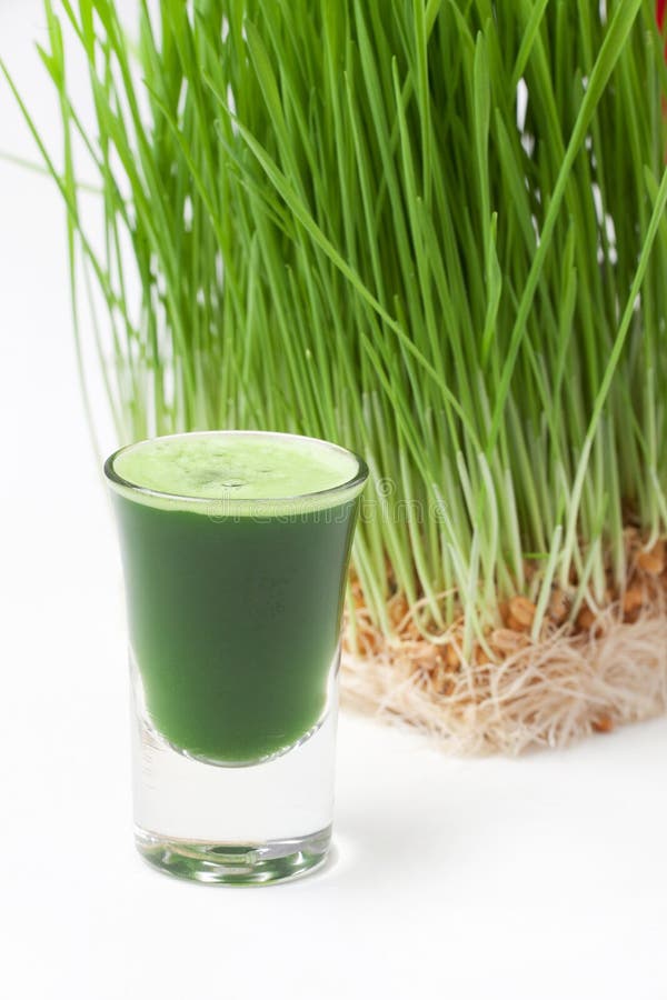 Wheat grass juice stock photo. Image of gardening, detox - 35892052