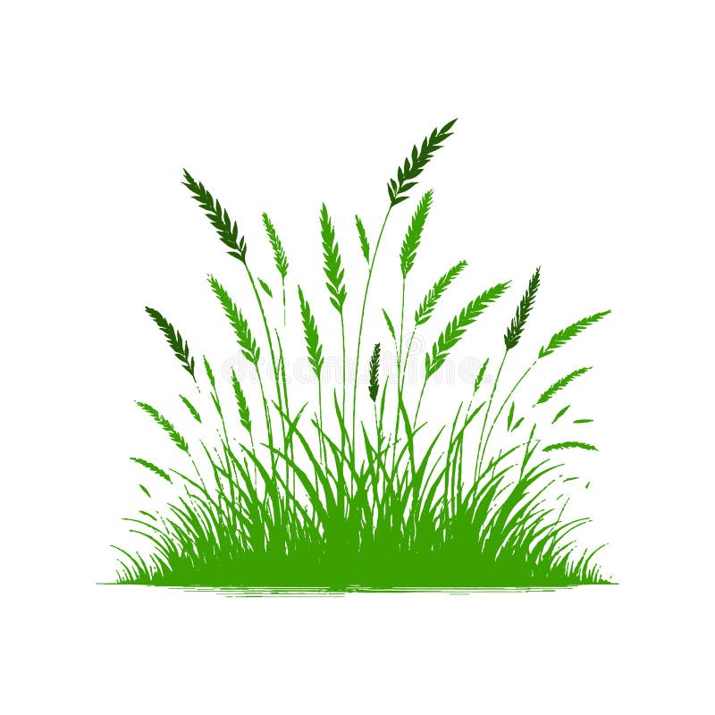 Vector Wheat Grass Stock Illustrations – 8,667 Vector Wheat Grass Stock ...