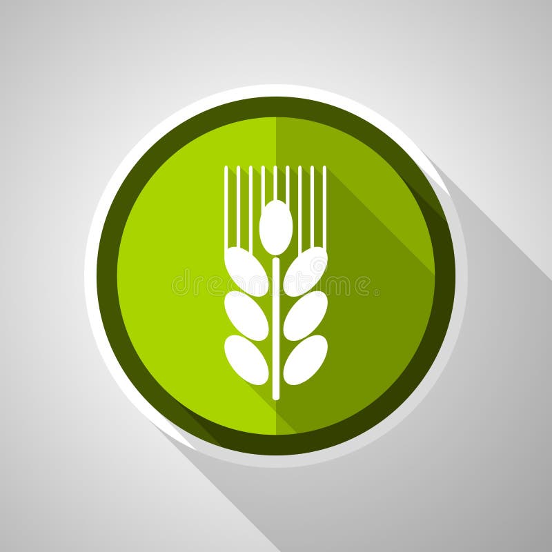 Wheat Green Vector Icon, Flat Design Harvest Symbol Stock Vector ...
