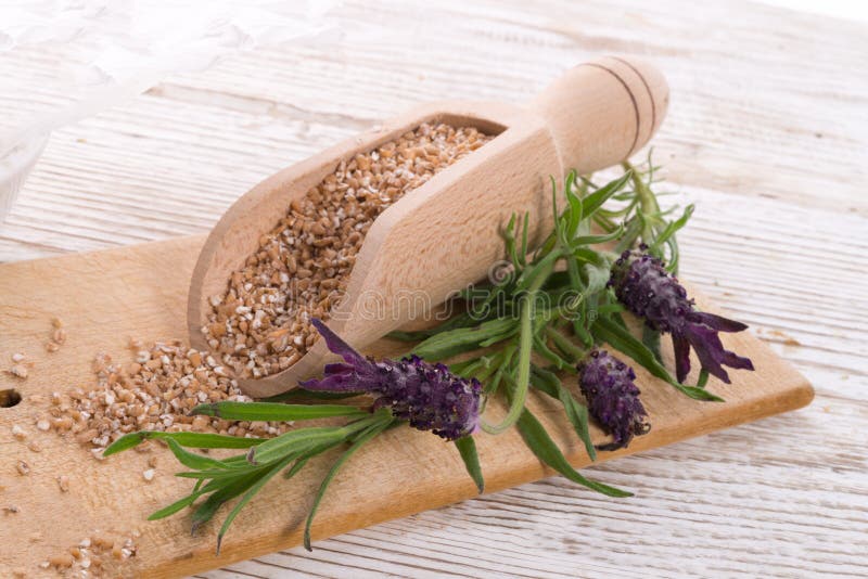 Wheat groats stock photo. Image of fresh, bunch, farm - 41389768