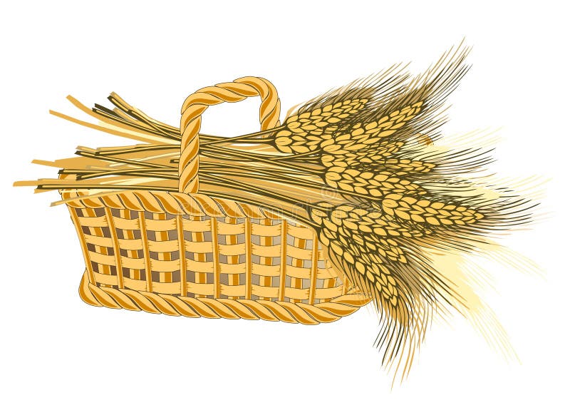 Wheat harvest in basket stock vector. Illustration of branch - 3401111