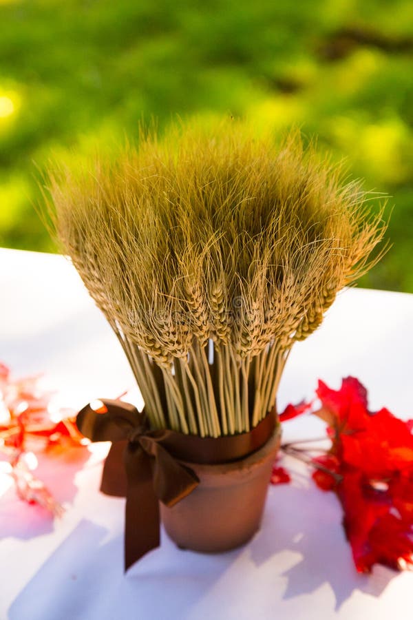 Wheat Harvest Wedding Decor Stock Image - Image of oats, wedding: 35321651