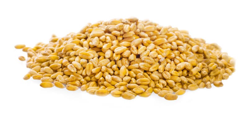 The Wheat Heap or Pile Side View Isolated on White Background Stock ...