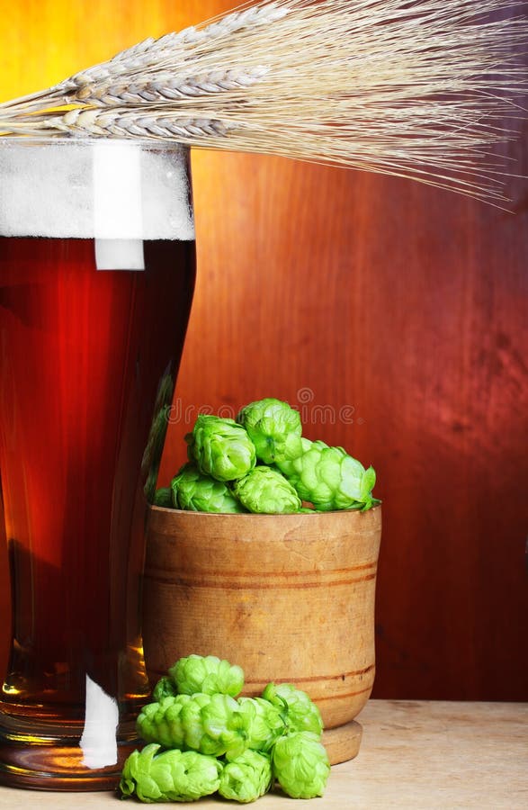 Wheat, hop and beer stock image. Image of drink, beverage - 22856823