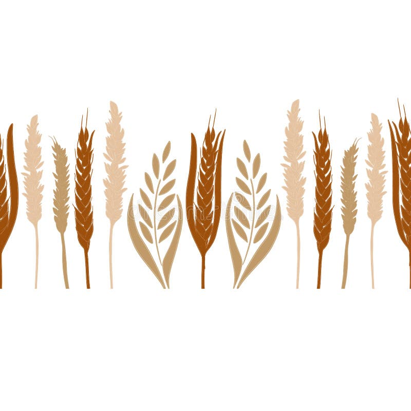 Wheat Horizantal in a Row Border Design Seamless Pattern Stock Vector ...