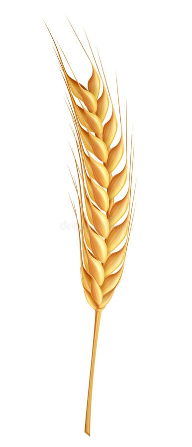 Imagine Invent stock illustration. Illustration of designer - 23315790 Imagine Invent stock illustration. Illustration of designer - 23315790