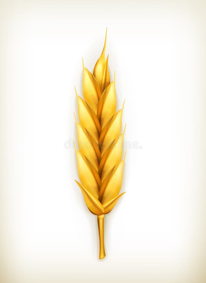 Wheat, icon stock vector. Illustration of wheat, bread - 26416303