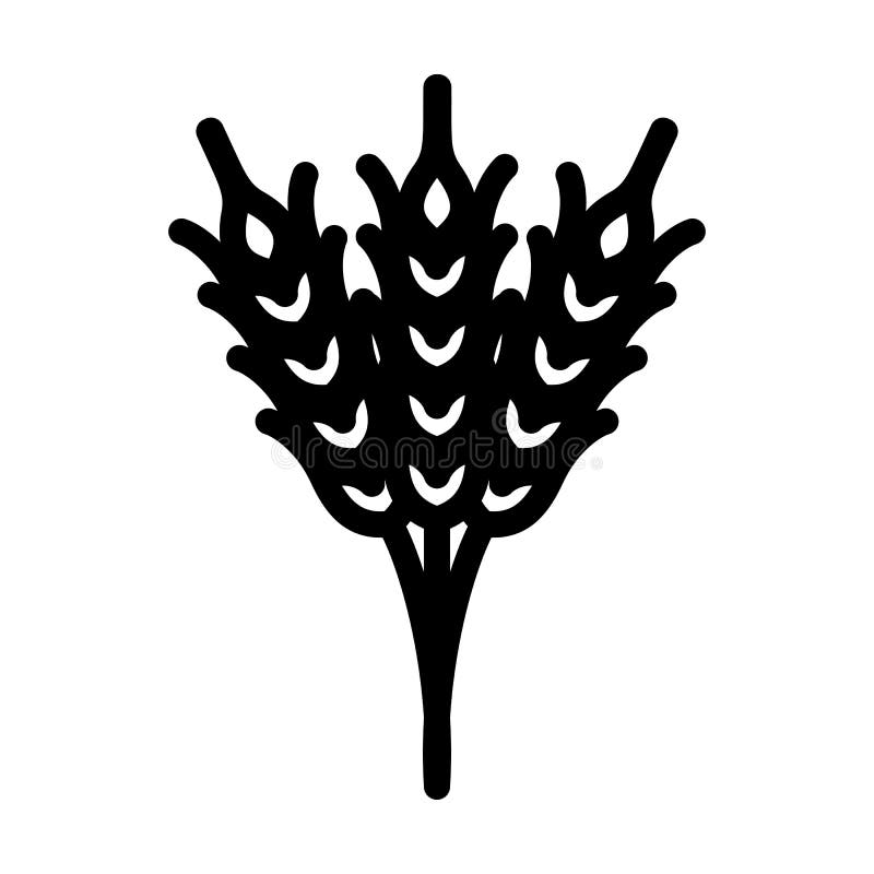 Wheat Icon stock vector. Illustration of natural, realistic - 221498969