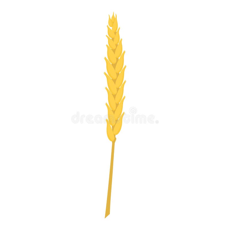 Wheat icon, cartoon style stock vector. Illustration of healthy - 91550814