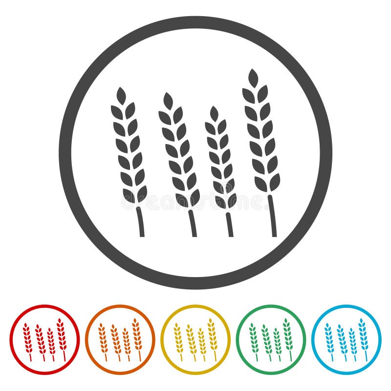 Wheat Icon, Wheat Ears Icon, 6 Colors Included Stock Vector ...