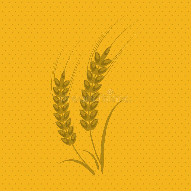 Wheat Icon. Grain Design. Agriculture Concept Stock Vector ...