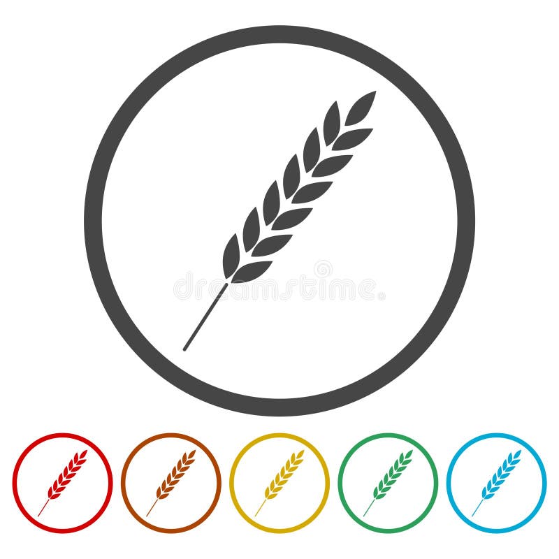 Wheat icon set stock vector. Illustration of natural - 128827620