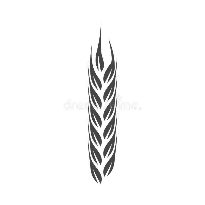 Wheat icon stock vector. Illustration of drawing, curve - 168978608