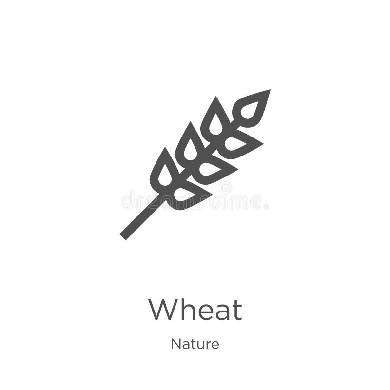 Wheat Icon Vector from Nature Collection. Thin Line Wheat Outline Icon ...