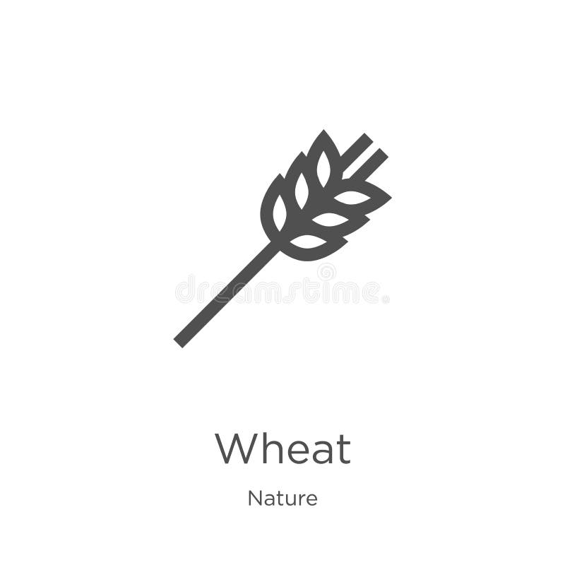 Wheat Icon Vector from Miscellaneous Collection. Thin Line Wheat ...