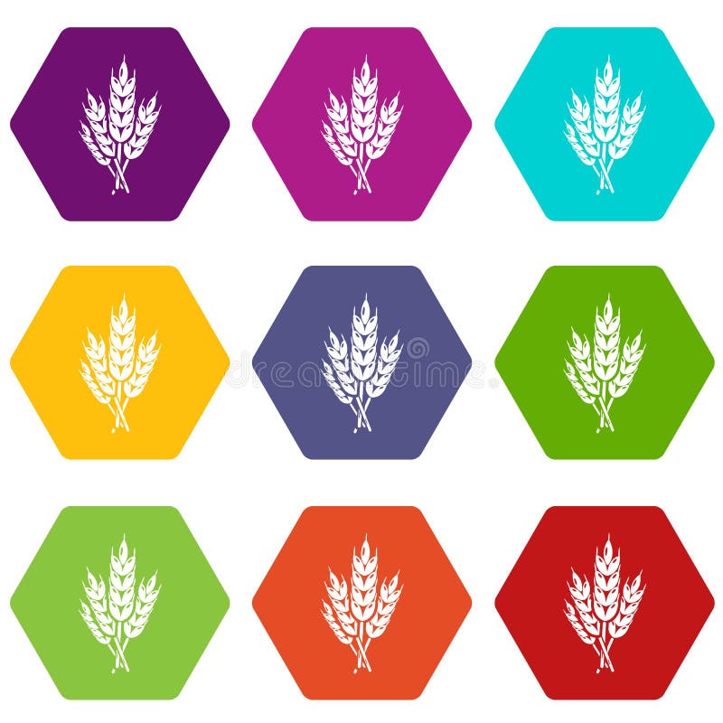 Wheat icons set 9 vector stock vector. Illustration of spike - 115833075