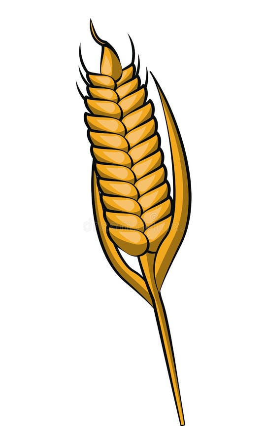 Wheat cartoon isolated stock vector. Illustration of grain - 53439517