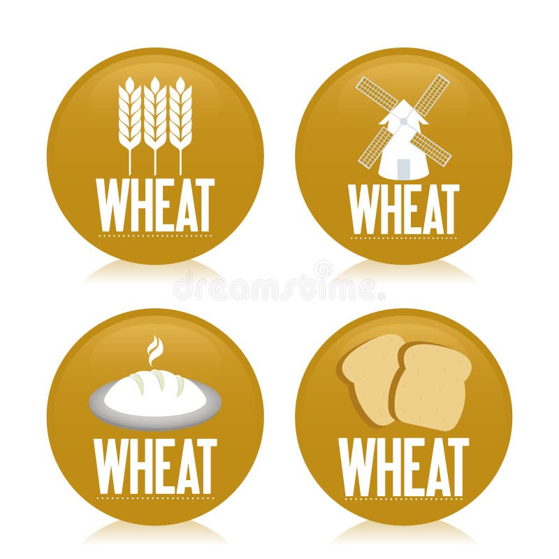 Wheat Labels stock vector. Illustration of bakery, cereals - 62552976