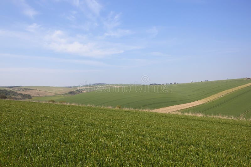 Wheat landscape stock image. Image of arable, rural, farmland - 40144005