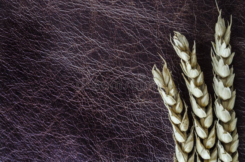 Wheat on leather stock image. Image of grain, nature - 34605323