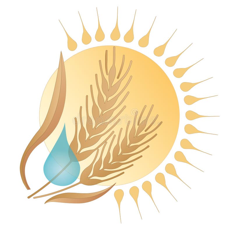 Wheat Swirl Stock Illustrations – 1,862 Wheat Swirl Stock Illustrations ...