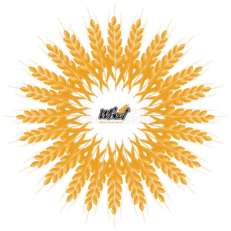 Wheat Logo Design with Circle or Round Shape Geometrical Style. Flat ...