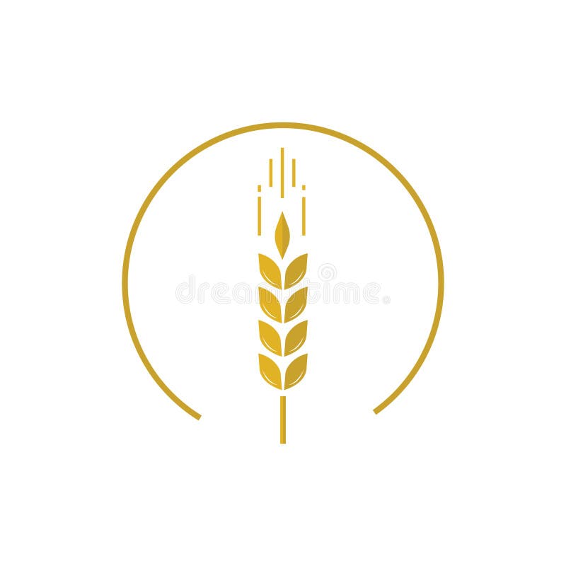 Wheat Logo icon stock vector. Illustration of gluten - 357639048