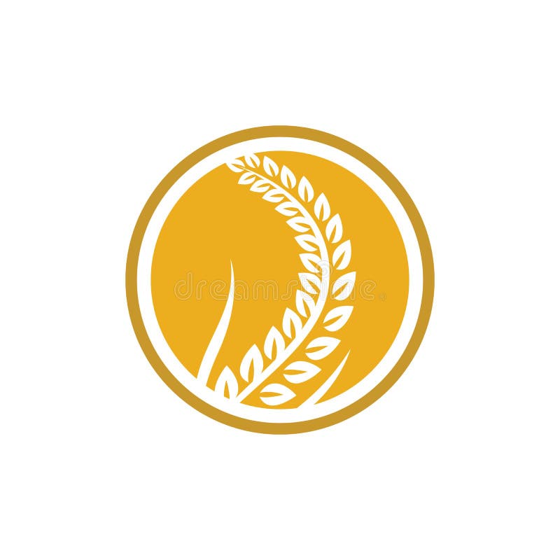 Wheat logo vector icon stock vector. Illustration of organic - 184346908