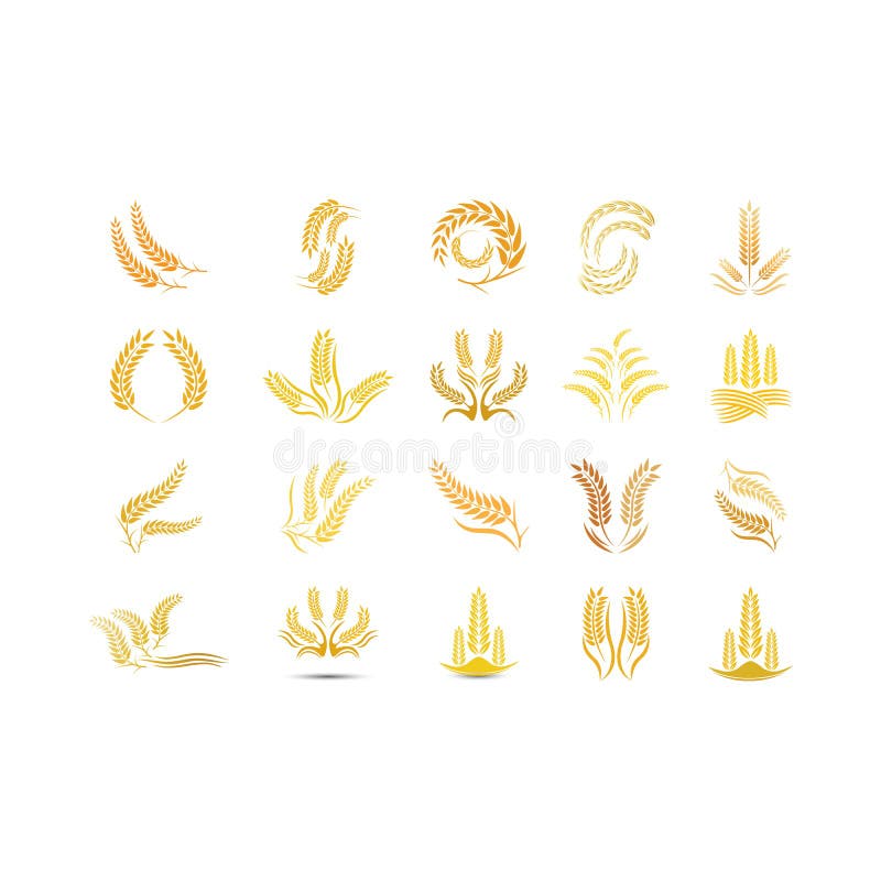 Wheat Logo Vector Icon Illustration Stock Vector - Illustration of crop ...