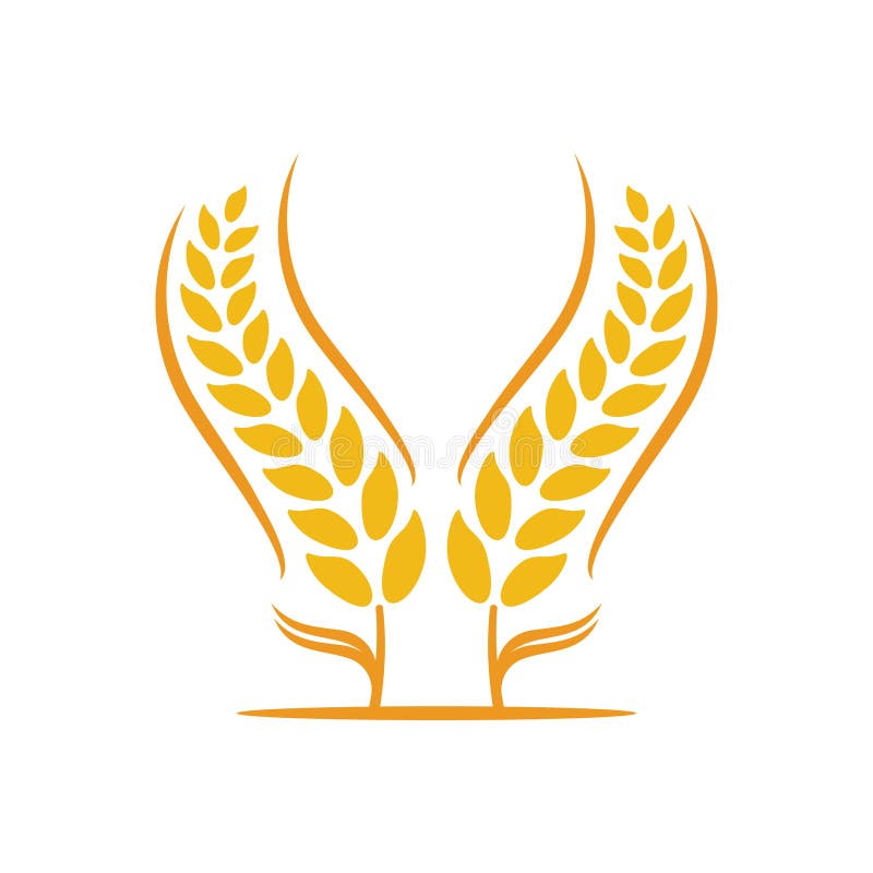 Wheat Logo Vector Icon Illustration Stock Vector - Illustration of ...