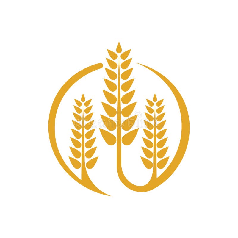 Wheat Logo Vector Icon Illustration Stock Vector - Illustration of ...