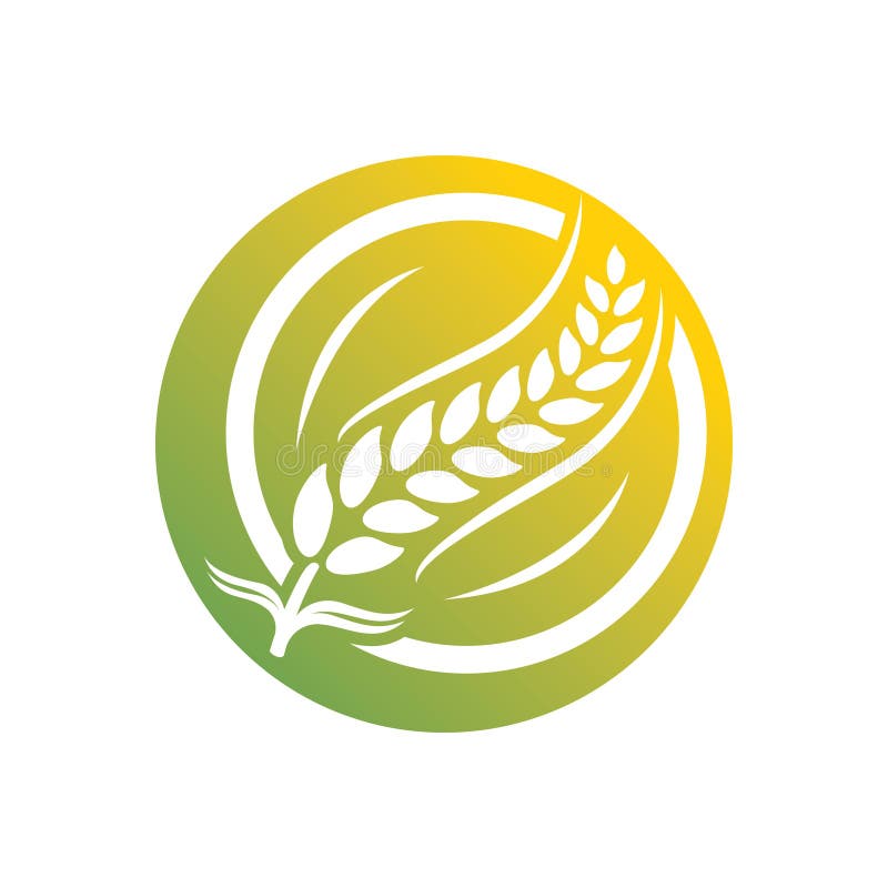 Wheat Logo Vector Icon Illustration Stock Vector - Illustration of crop ...