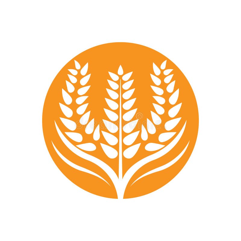 Wheat Logo Vector Icon Illustration Stock Vector - Illustration of ...
