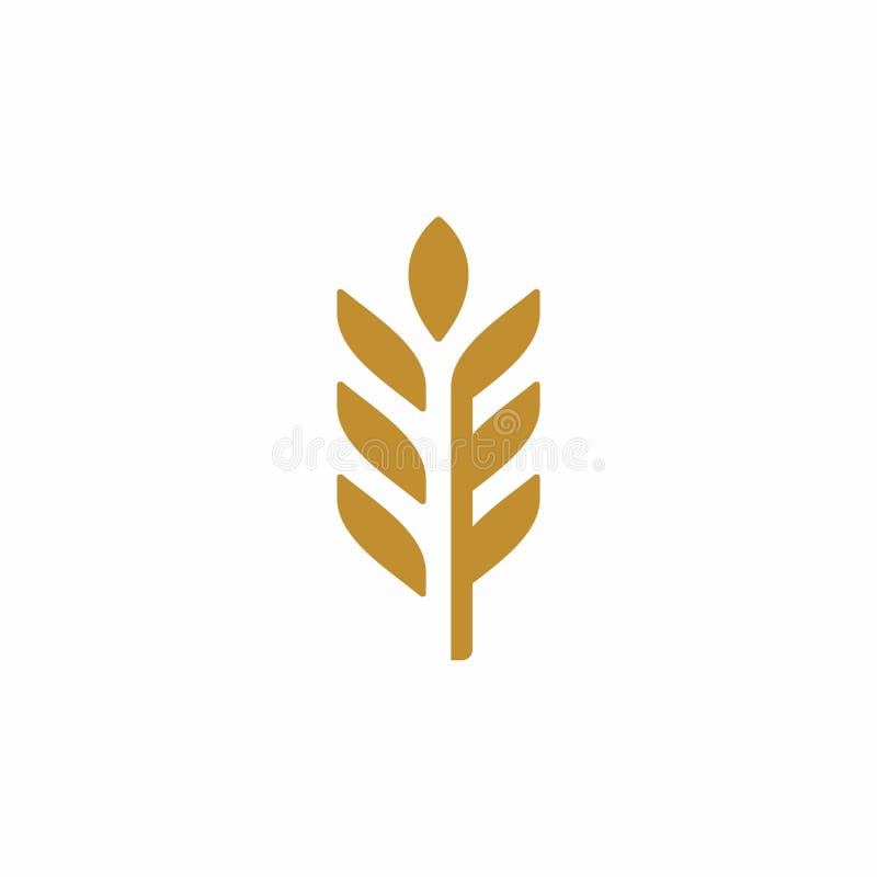 Paddy Field Logo 122,100+ Rice Crop Stock Photos, Pictures