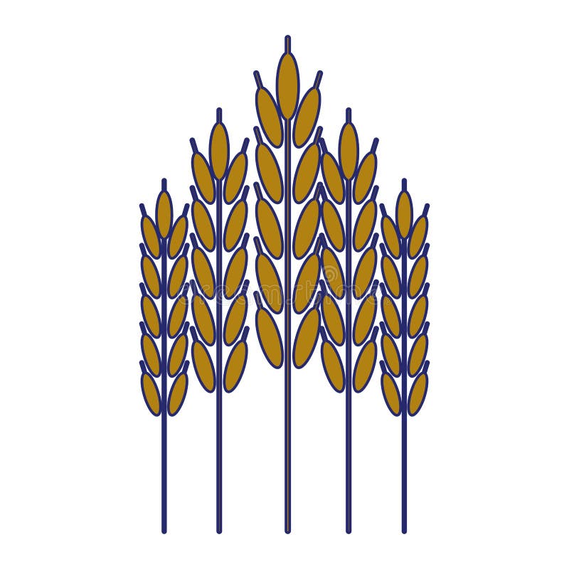 Wheat natural food symbol stock vector. Illustration of grain - 141291025