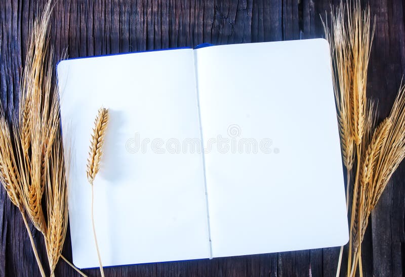 Wheat and paper stock image. Image of cereal, drink, grains - 56596845