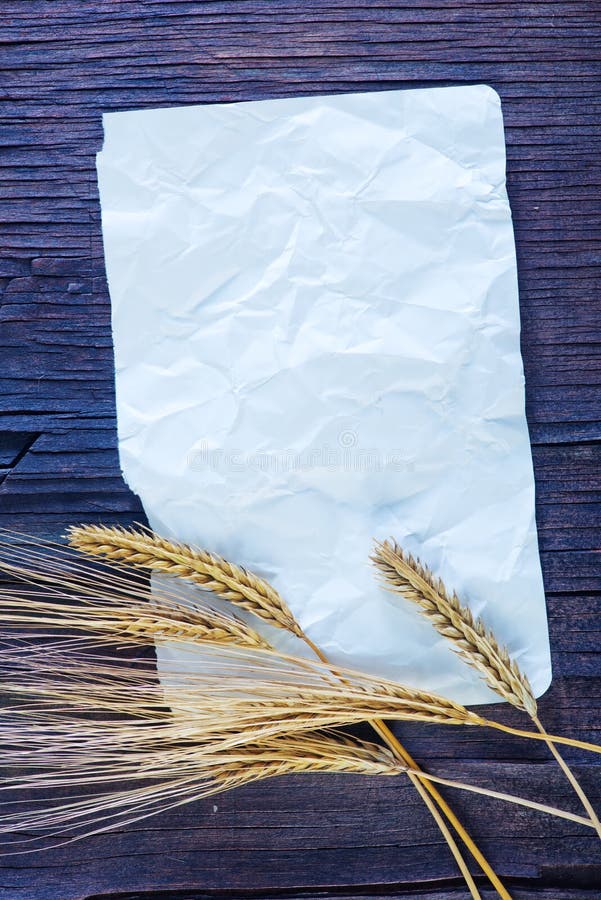Wheat and paper stock image. Image of drink, blank, healthy - 56596961