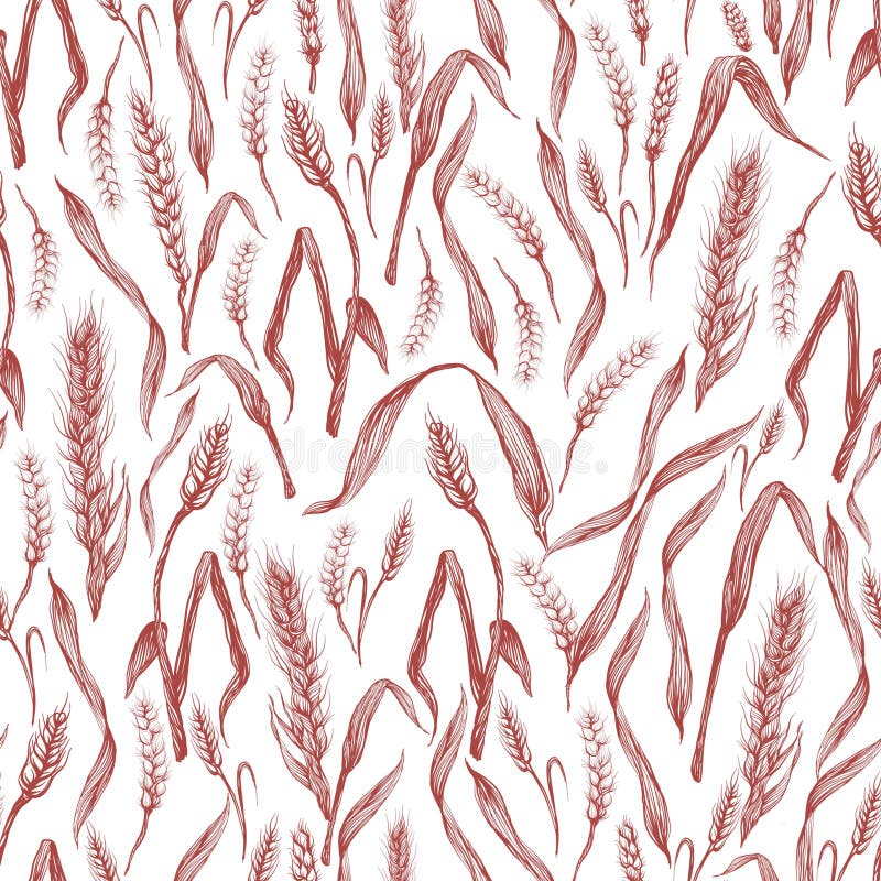 Wheat Pattern Ears of Corn Set Red Stock Vector - Illustration of text ...