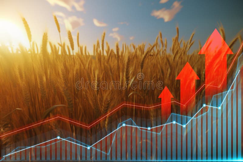 Wheat Price Increase and Diagram with Three Arrows Stock Image - Image ...